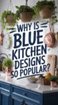 Why Is Blue Kitchen Designs So Popular?